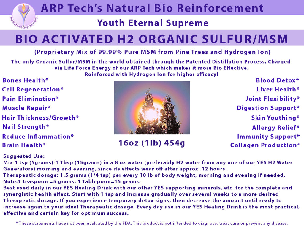 H2 Organic Sulfur/MSM (Bio Activated, Hydrogen Ion Reinforced) 1lb (45 ...